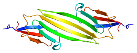 Secondary Structure of Protein | Overview, Definition & Examples ...