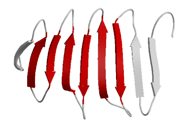 Factors Affecting Protein Structure | Study.com