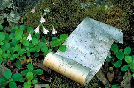 Midewiwin Origins, Ceremonies & Structure | Study.com