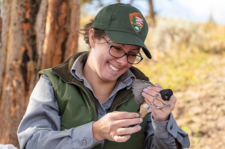 Biodiversity | Definition, Types & Examples - Lesson | Study.com