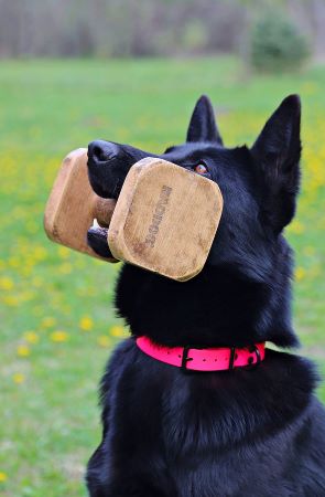 Dangling Modifier Definition, Identification & Examples - Lesson ...