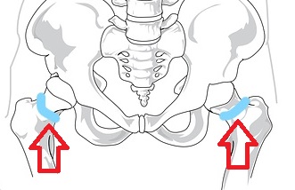 Bone Growth, Development & Disorders - Lesson | Study.com