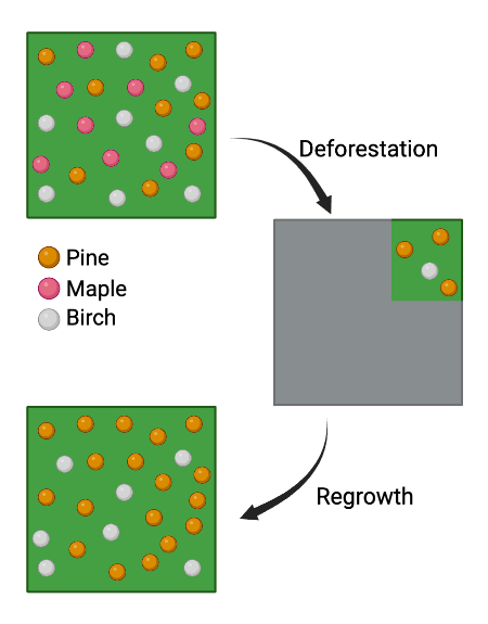 Predicting Ecosystem Changes Due to Physical or Biological Factors ...