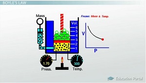 Inspiration & Expiration | Ventilation, Process & Differences - Lesson ...