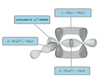 Label all bonds in SO_2. Label the diagram by dragging the labels to ...