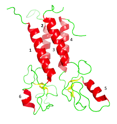 Naming an Element of a Protein Secondary Structure from a Description ...