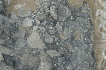 Sedimentary Rocks Lesson for Kids: Definition & Facts | Study.com