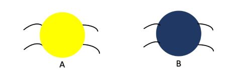 Differentiating between Evolutionary Processes Practice | Biology Practice Problems | Study.com