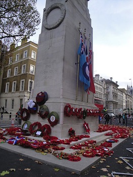 Remembrance Day: Origins & Facts | Study.com