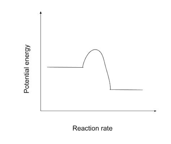 CSET Science Subtest 1 & 2 - CSET 215 217 218 219 220 Practice Test