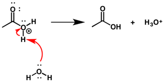 Acylation Overview, Mechanism & Agents | Study.com