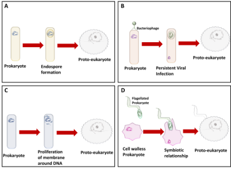AP Biology: Exam Prep - Practice Test Questions & Final Exam | Study.com