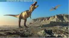 Animals & Plants in the Mesozoic Era | Overview & Periods - Lesson ...