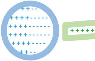 Finding the Orientation of Charge Separation Induced in a System from ...