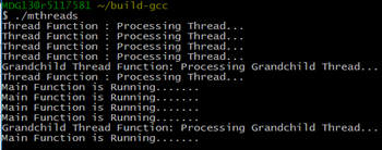 Practical Application for Operating Systems: Multithreading | Study.com