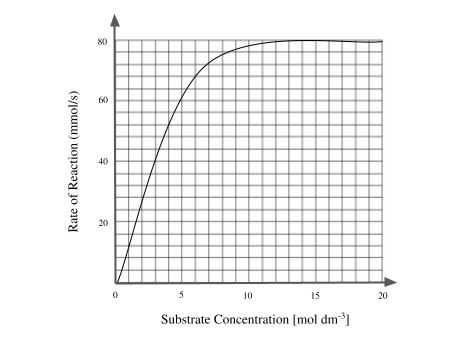 Calculating the Km and Vmax from an Enzyme Kinetics graph Practice ...
