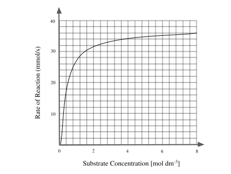 Calculating the Km and Vmax from an Enzyme Kinetics graph Practice ...