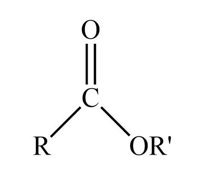 What is structural formula of Ester? | Study.com