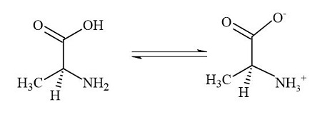 Zwitterion Structure Function Video Lesson