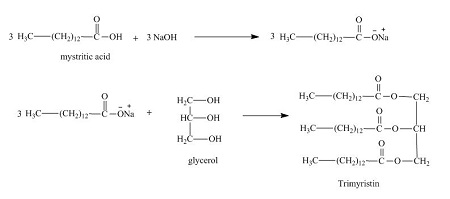 Structure Of Trimyristin