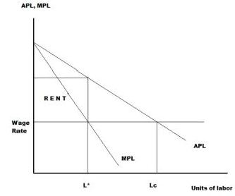 Average Labor