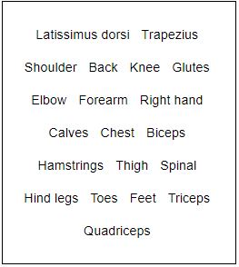 Muscle Groups: Lesson for Kids | Study.com