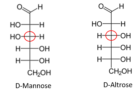 Which two sugars are related as C-3 epimers? Select two answers. A. D ...