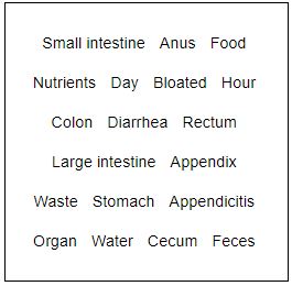 Large Intestine Facts Ks2