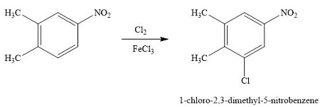 Give the structure of the major organic product for the following reaction: Cl2 FeCl3 | Study.com