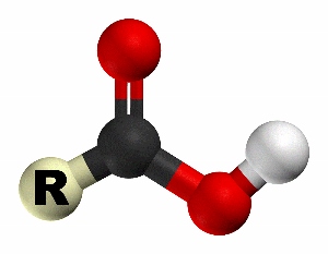 Unsaturated Fatty Acid | Classification & List | Study.com