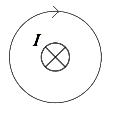 Drawing the Magnetic Field Around a Current-Carrying Wire Practice ...