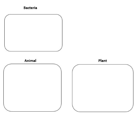 Cells | Overview, Composition & Function - Lesson | Study.com