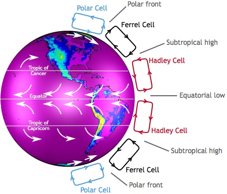 Convection Cell Definition Currents Causes Study Convection Cell Definition Currents Causes Study