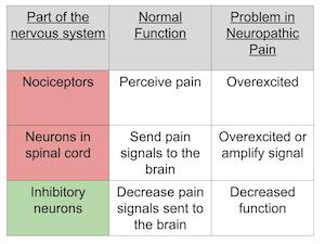 What Is Neuropathic Pain? - Definition, Symptoms & Treatment | Study.com