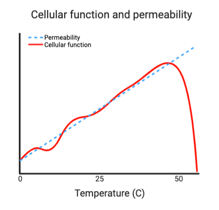 Interpreting a Graph of Membrane Phospholipids to Predict their Ability ...