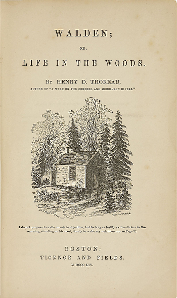 Henry David Thoreau | Biography, Writings & Transcendentalism | Study.com
