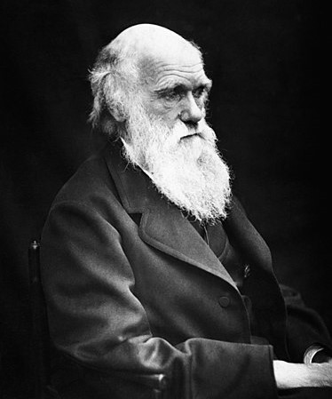 Aquatic Ape Theory | Overview & Hypothesis | Study.com