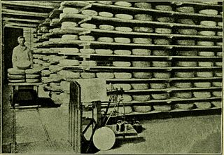 Swiss Cheese Holes | Origin & Production Process | Study.com