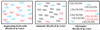 How to Identify Strong Bases from a Sketch | Chemistry | Study.com