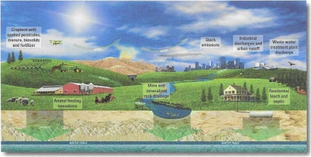 Finding Ways to Reduce the Impacts of Human Activities on the ...