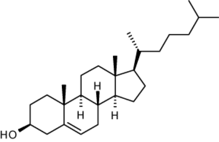 Categorizing the Macromolecule from a Drawing Practice | Biology ...