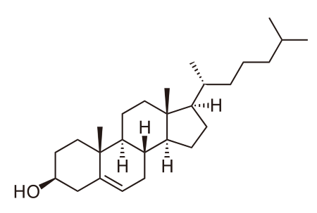 Lipids | Types, Example & Forms - Lesson | Study.com