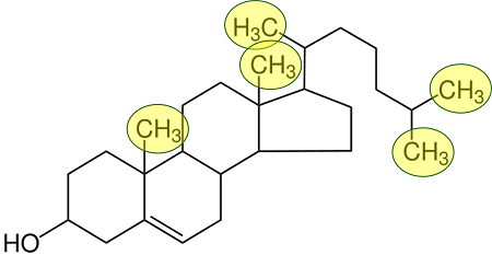 Organic Molecules | Definition, Functional Groups & Examples - Lesson ...