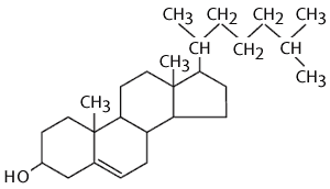 Ester Bond | Definition & Chemical Formula - Lesson | Study.com
