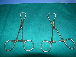 Veterinary Surgical Equipment | Overview & Functions - Lesson | Study.com