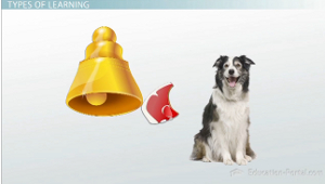 Learning Definition, Process & Types - Lesson | Study.com