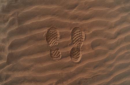 Presume vs. Assume | Differences & Examples | Study.com