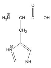 Histidine Amino Acids Structure