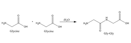 Draw the dipeptide Gly-Gly. The structure of glycine is [{Image src ...