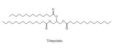 Draw the structure of trimyristin (glyceryl trimyristate) and relate ...
